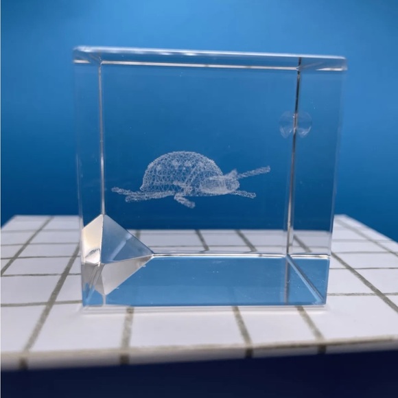 Art | Ladybug Laser Engraved 3d Crystal Cube Glass Etched Paperweight ...